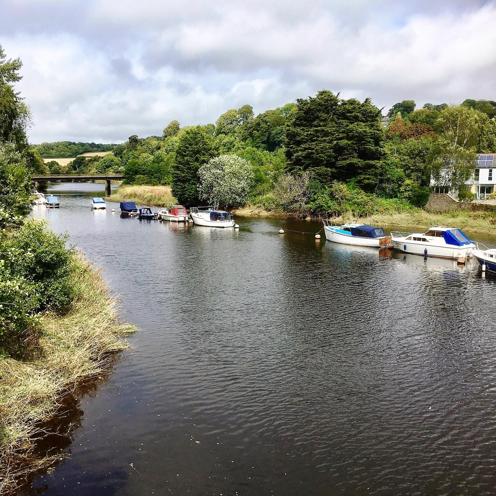 Days Out in Devon – Totnes Castle in Totnes