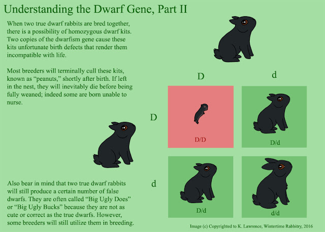 Rabbit Genetics And Musings: Cheat Sheet: Understanding the Dwarfism ...