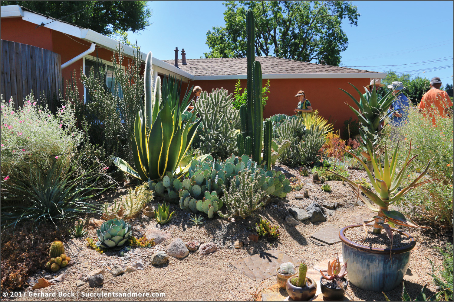 Ruth Bancroft Garden July 2017 private garden tour, part 2