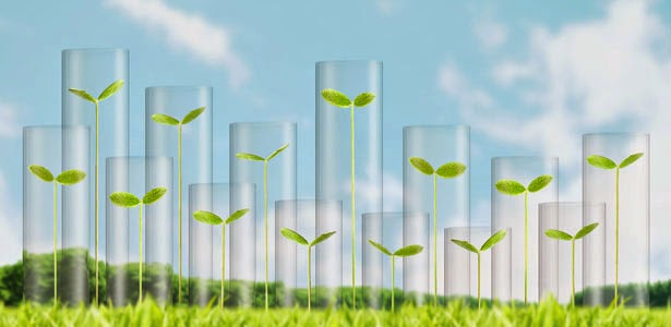 AL QUBA DISTRIBUTION SDN BHD