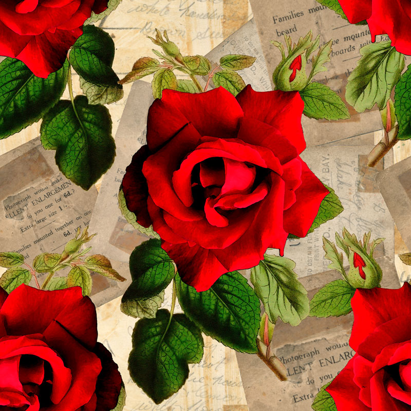 LinsArt: Red Rose