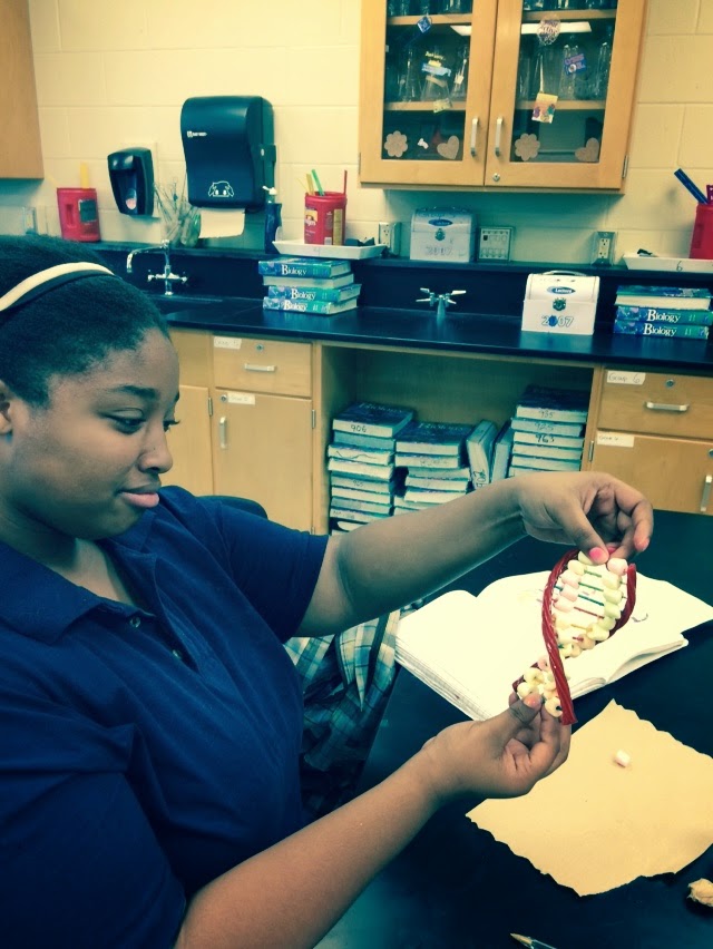 Mrs. Greeley Howard’s Biology Class: DNA Candy Lab