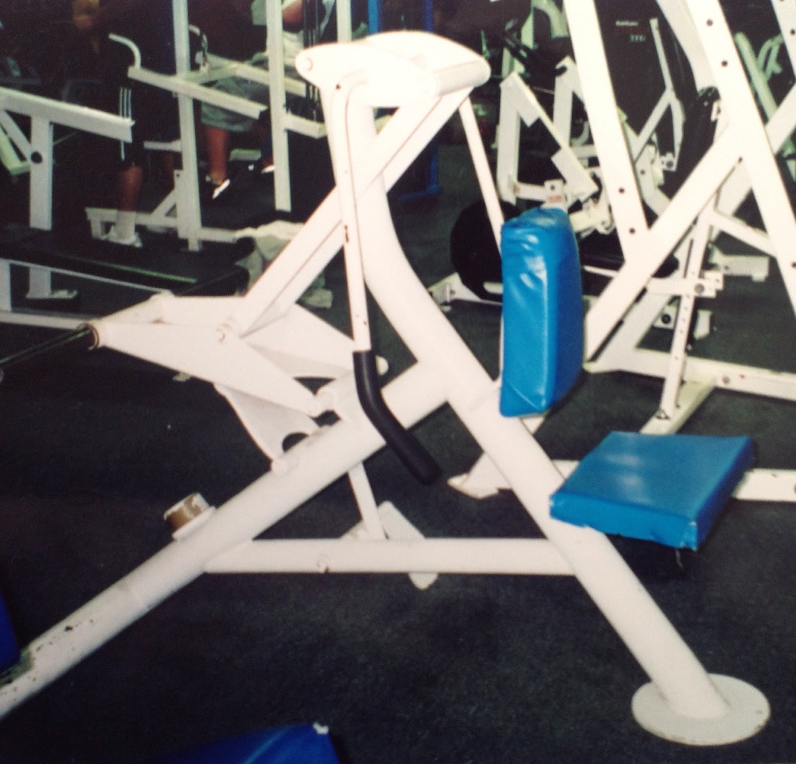 LAMB Bodybuilding Machines: Lamb Bodybuilding Machines - Description of ...