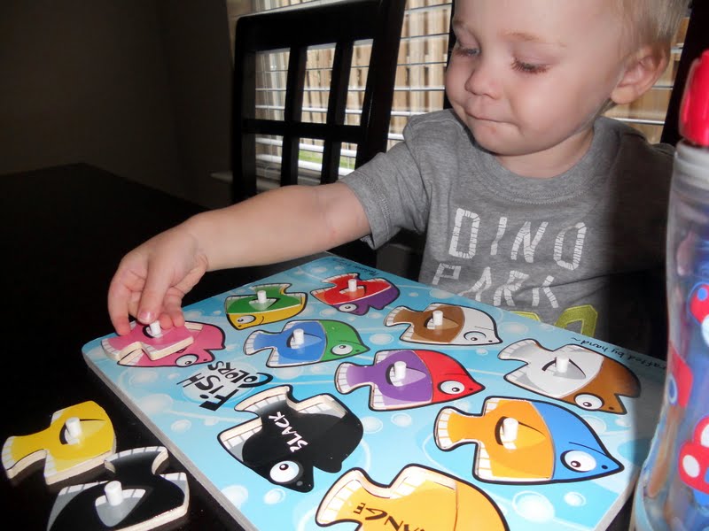 House of Woyaks: Exlore the Shore - Nick Jr. July Lesson Plan