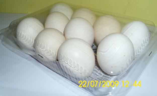 Ukuran Telur Terkecil Hingga Terbesar | Birink's Blog