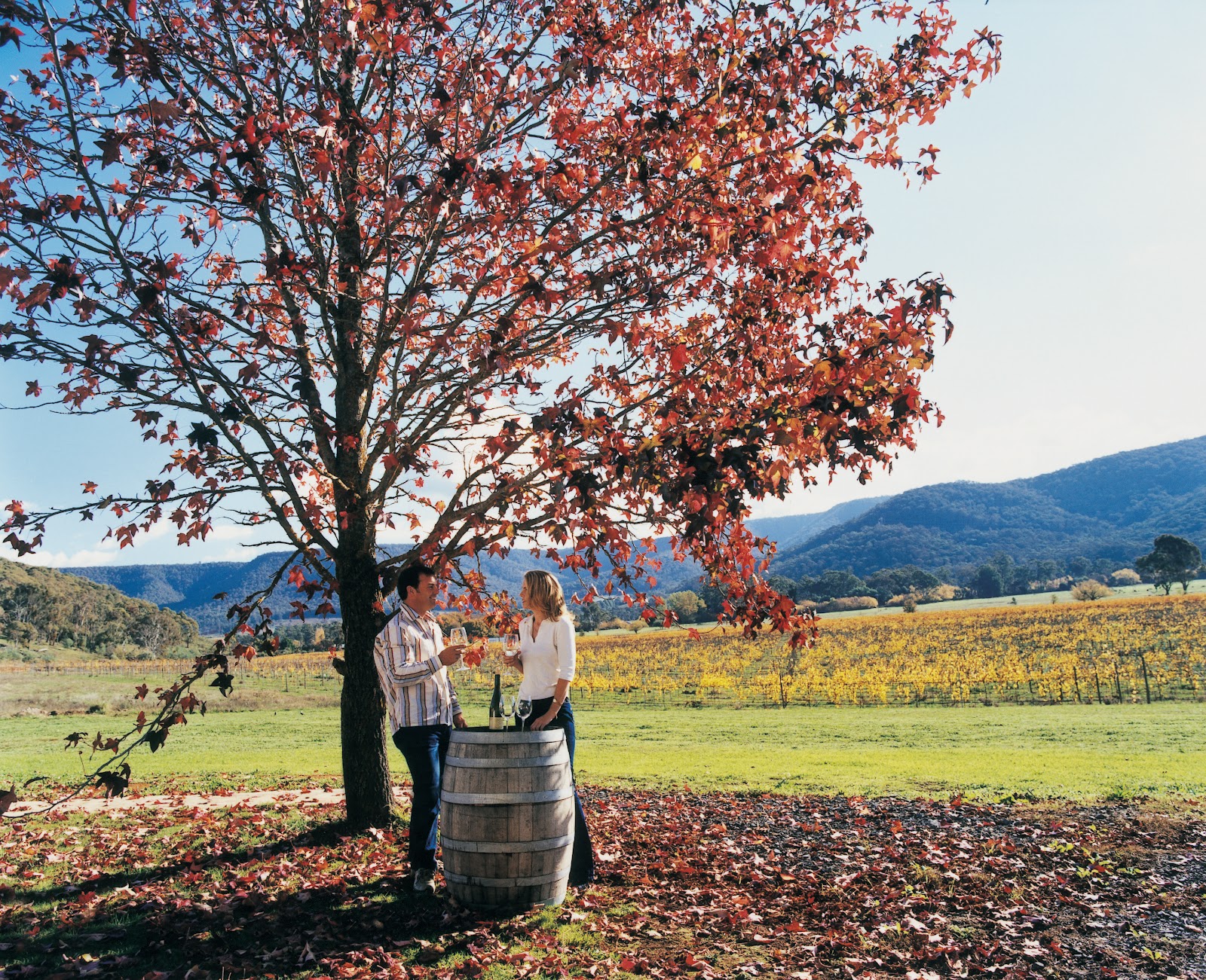 Sunlover Holidays: Discover regional Victoria