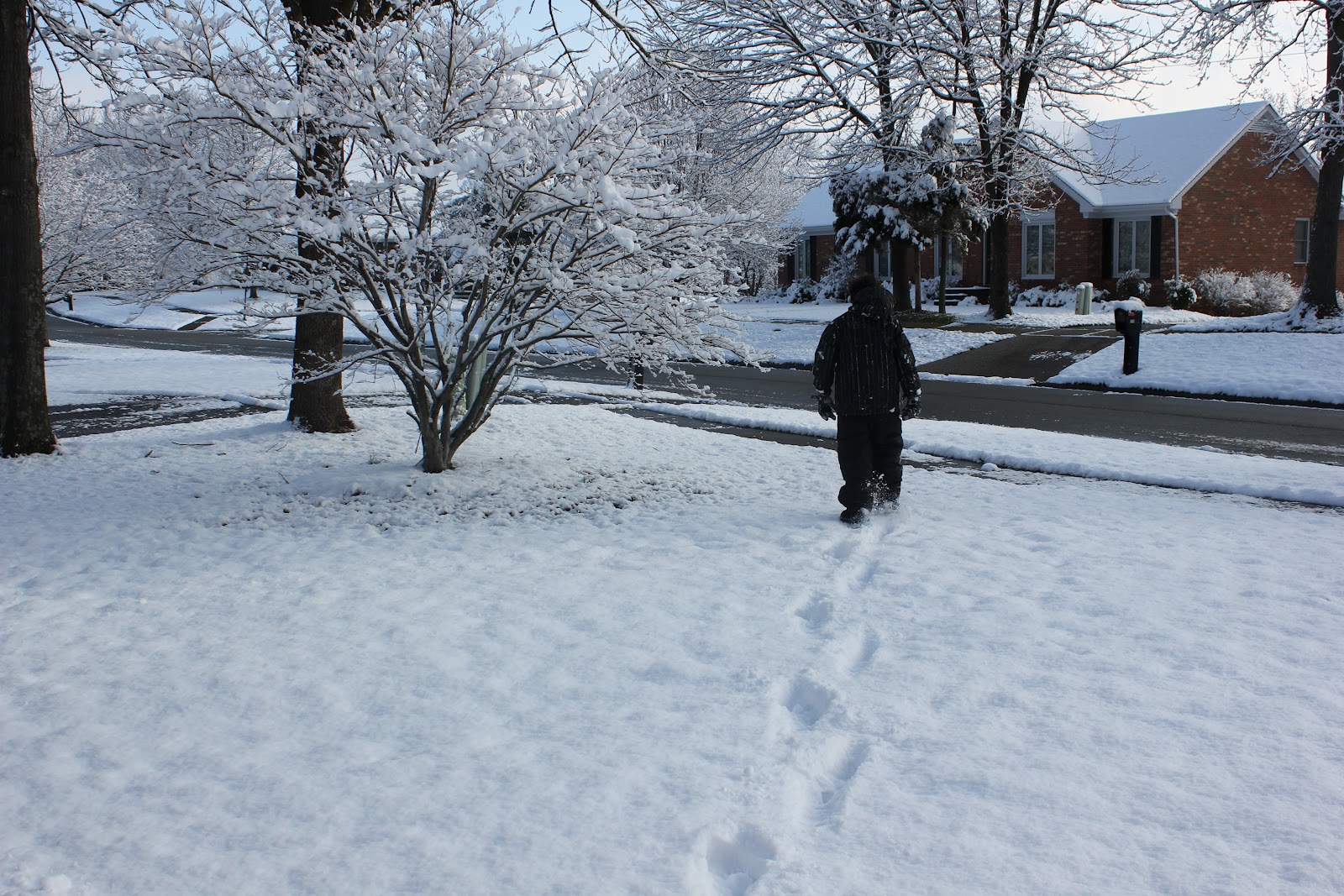 Winter {finally} Comes to Kentucky {in March} - Ben and Me