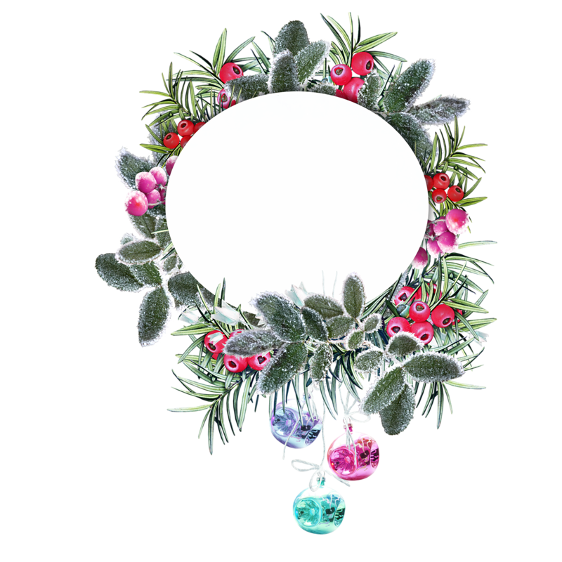 ForgetMeNot: cluster winter frames