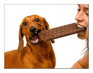 Choco Passion: Chocolate Toxic to Dogs............