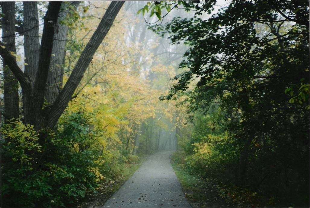 Isabella Conservation District Environmental Education Program: Big and ...