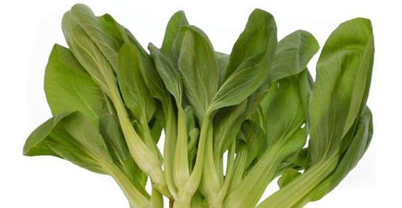 Pakcoy | Supplier sayur dan buah surabaya