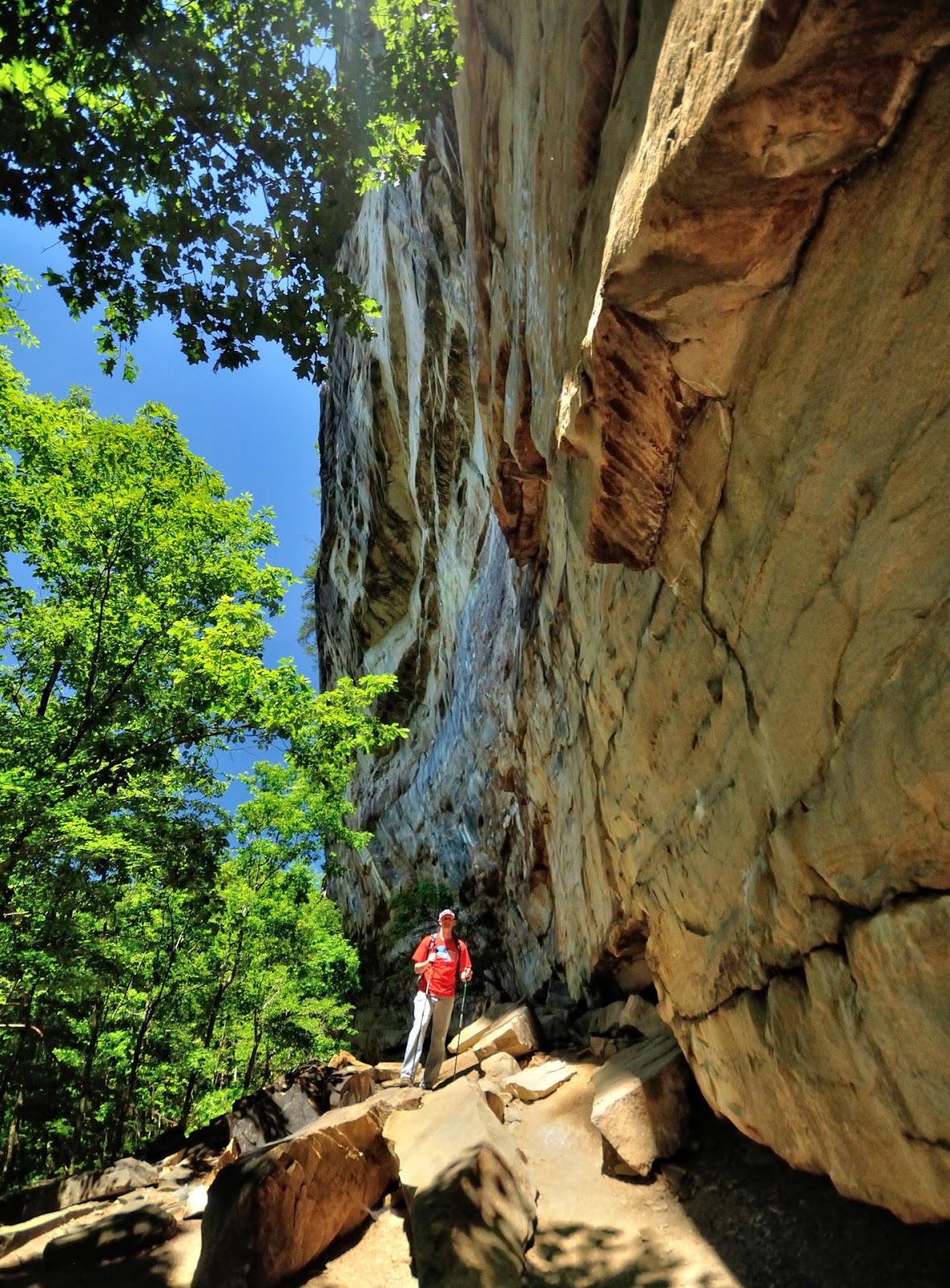 Discover West Virginia: America’s #1 Hike: The Endless Wall Trail