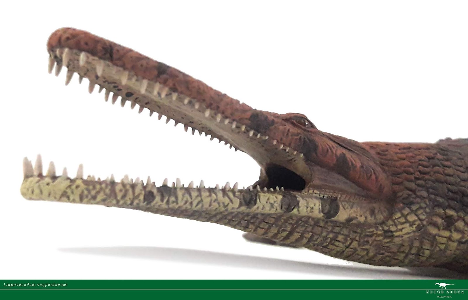 Vitor Silva - Paleoartista: Laganosuchus