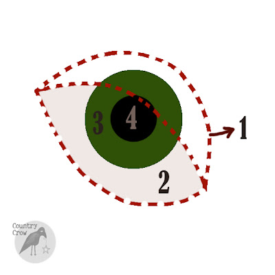 How to Paint Eyes - TUTORIAL ~ Country Crow