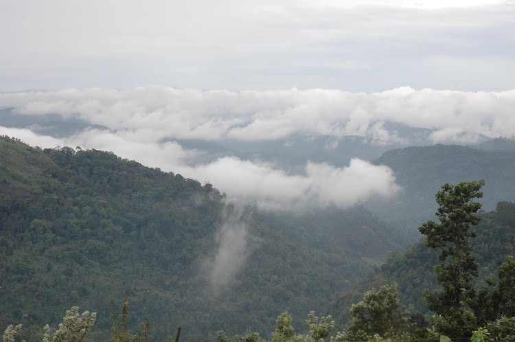 Munnar Sightseeing | Munnar Hill Station
