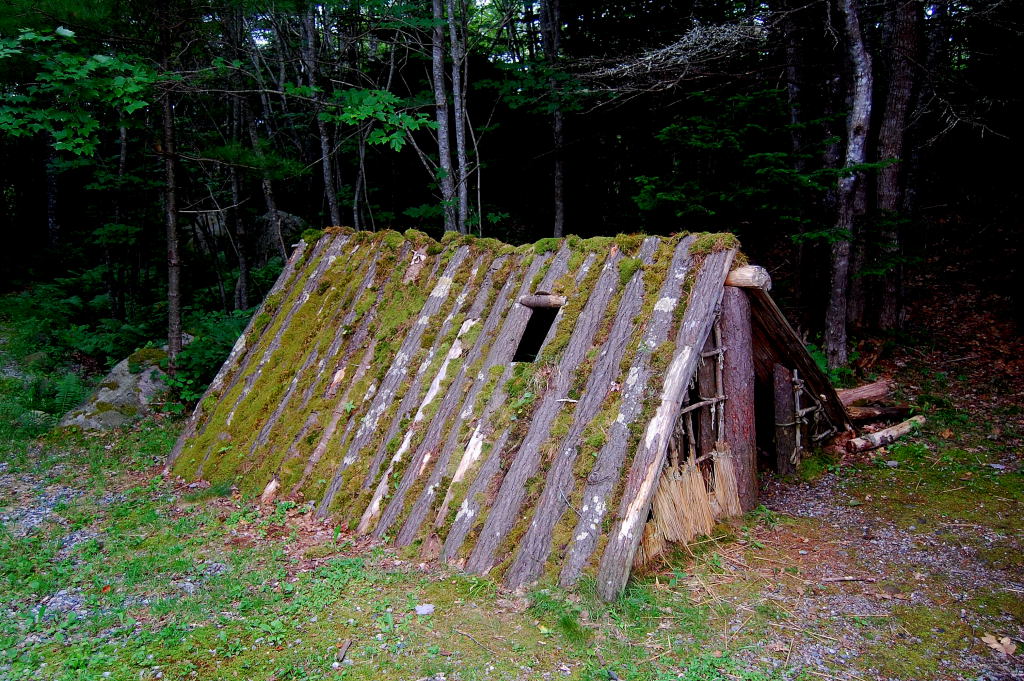 Lion Lamb Blog -- David Mundy: Birchtown