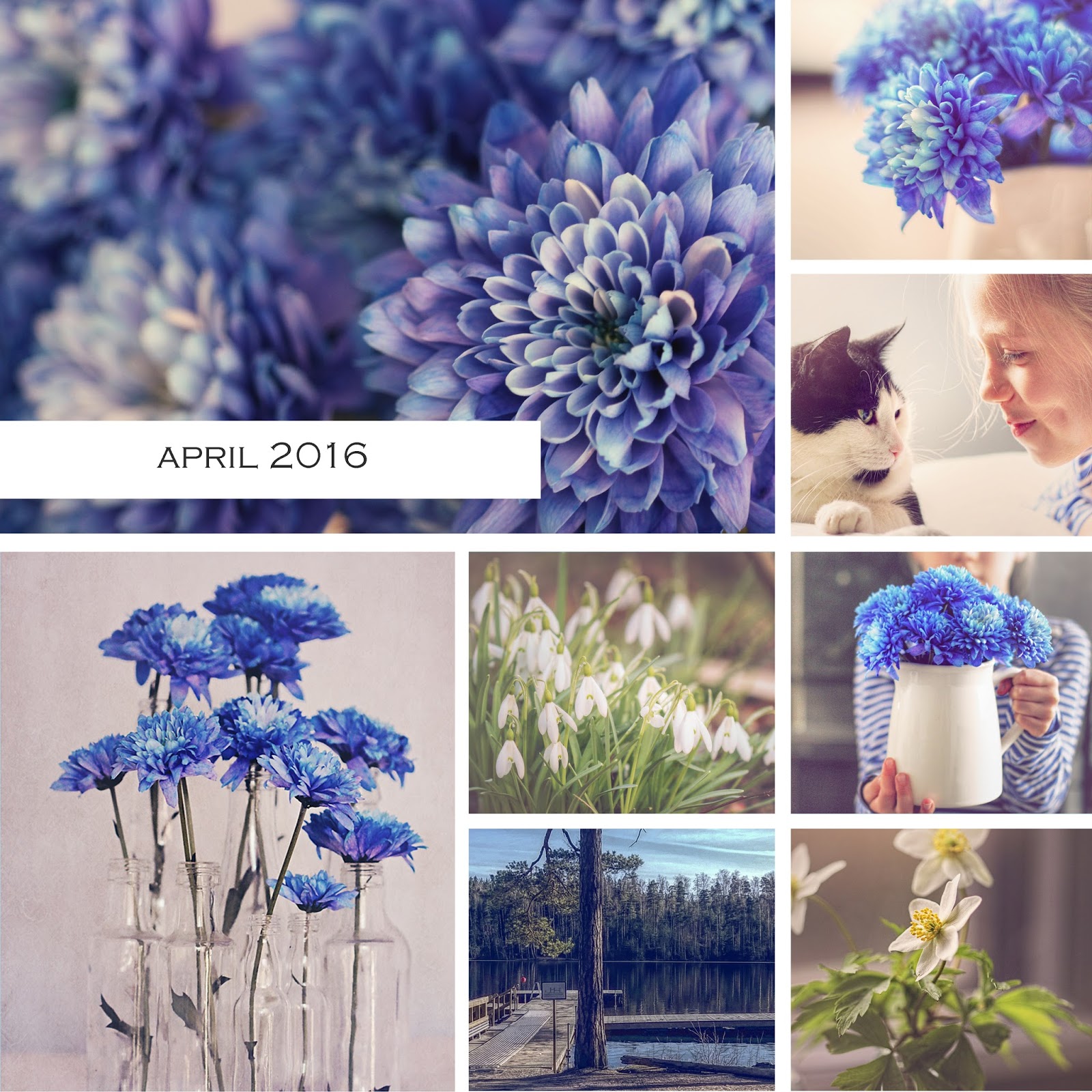 Mona's Picturesque: A month in photos {April 2016}