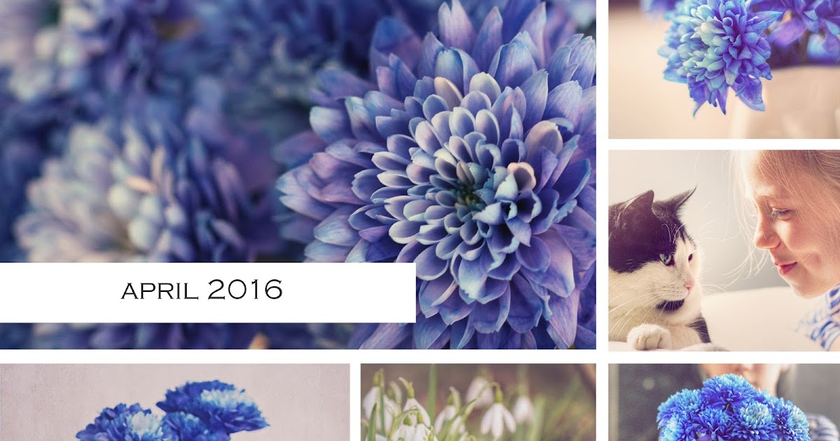 Mona's Picturesque: A month in photos {April 2016}