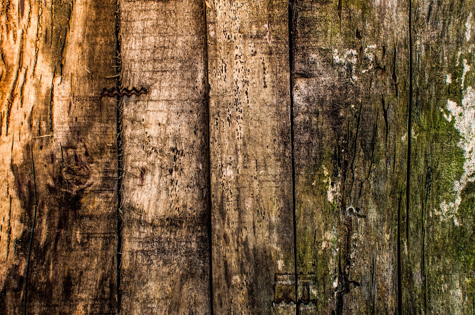 The Texture Archives | free textures for the taking: Rotten Wood Planks