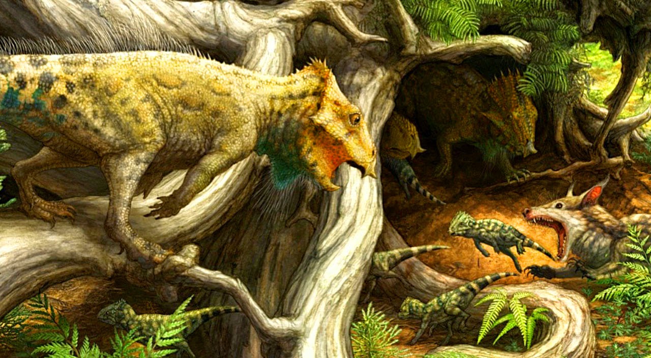 todo sobre la era de dinosaurios: EL AQUILOPS AMERICANUS