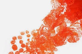 OXFORD EMBROIDERERS' GUILD: 12 March 2014, Judith Hammond - "Plastic ...