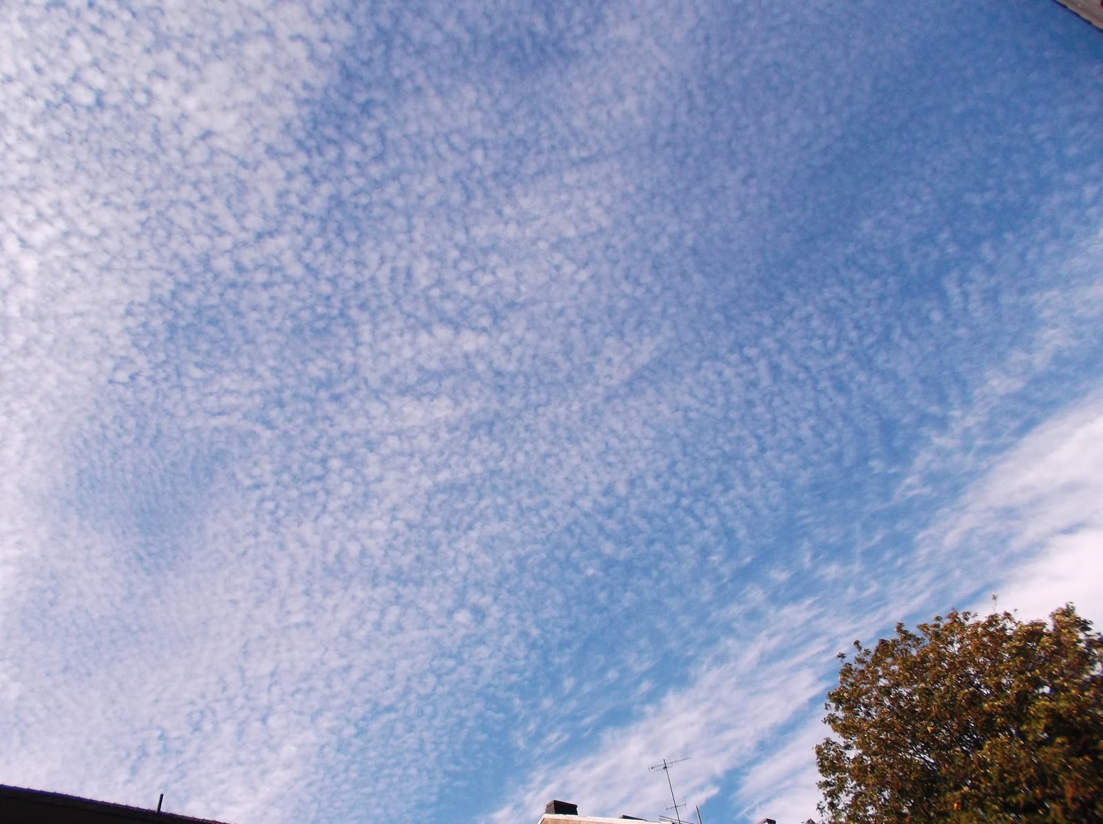 FlygSpectrum: XH558 Vulcan with The Reds one last time - 'Feel the ...