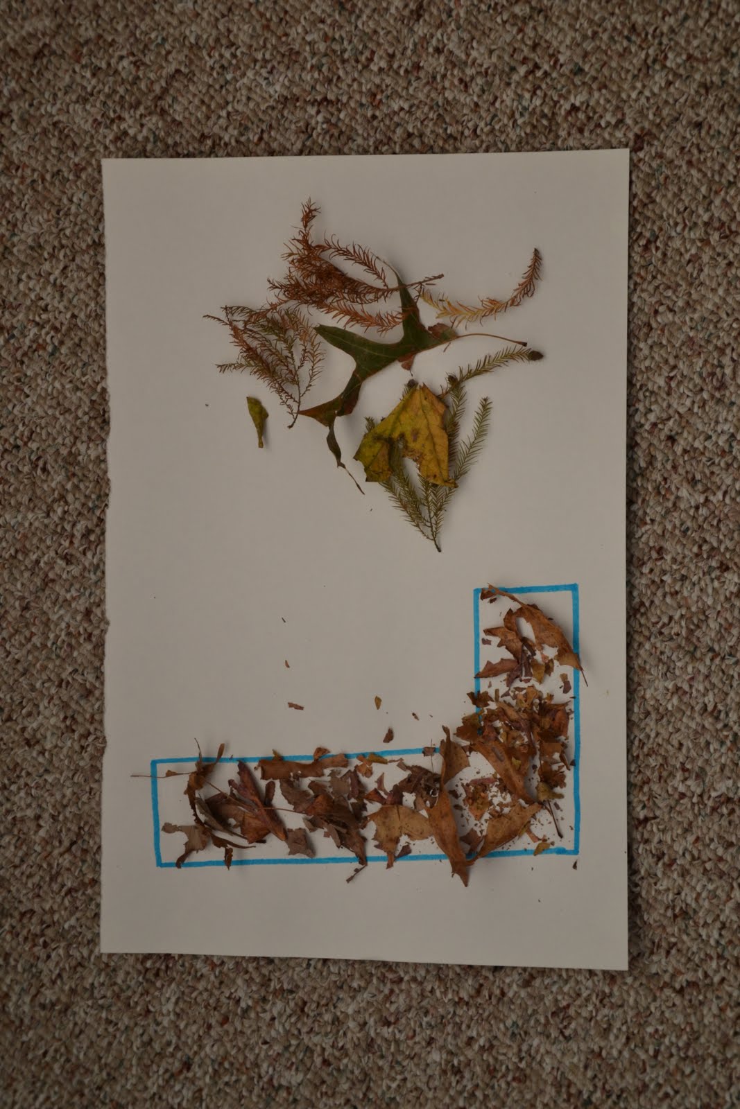 Children's Learning Activities: L is for Leaves