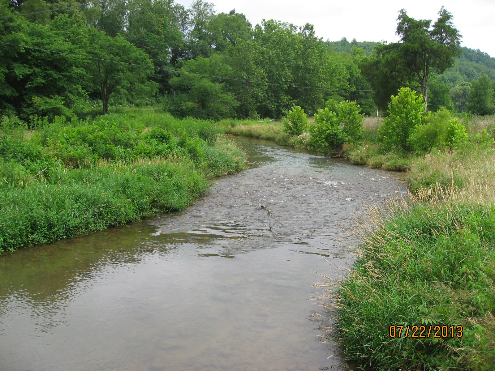 Virginia Water Radio: Episode 202 (2-24-14): "Cripple Creek"--On Banjo ...