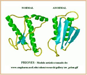 Biologia no ensino médio: 3º ano - aula 4 - Prion