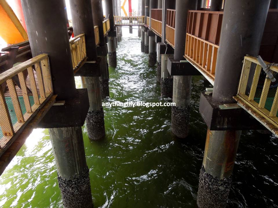 anythinglily: Kelong Paradise Waterfront Resort: Part 3 ( The 24 Hour ...