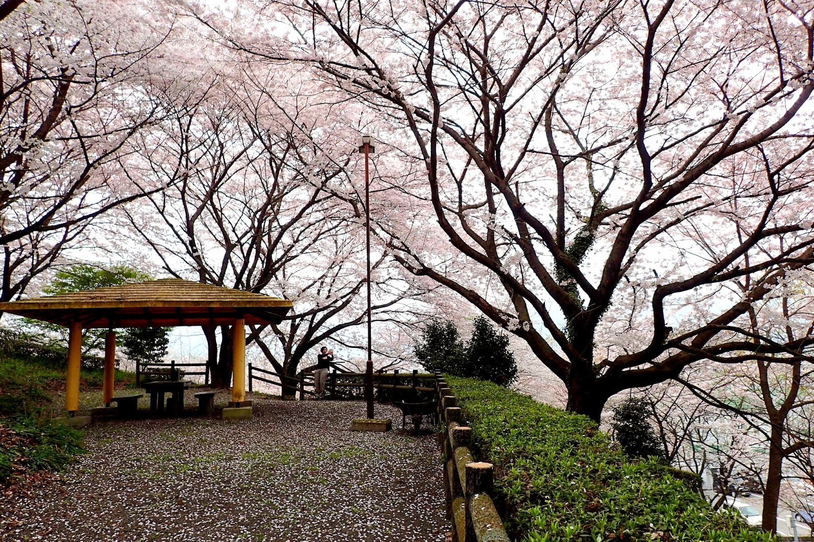 优玩 Bespoke Traveller: April 2015