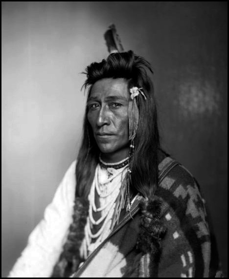 "ALQUIMYA DA CURA" : OS SHOSHONES