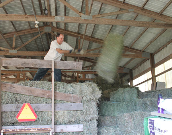 Antiquity Oaks: September 2013