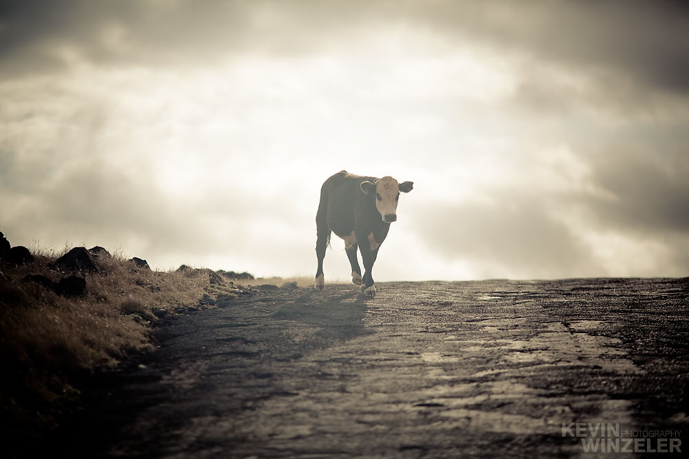 Kevin Winzeler Photography Blog