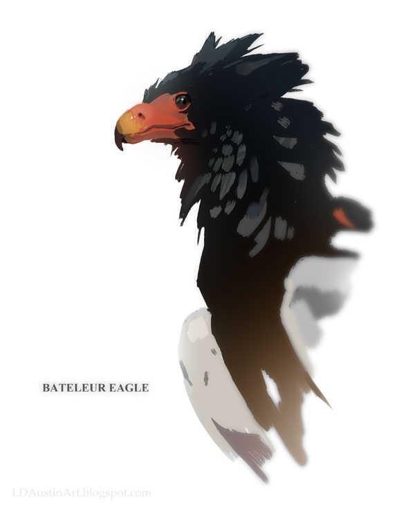 The Art of LD Austin: Bateleur Eagle