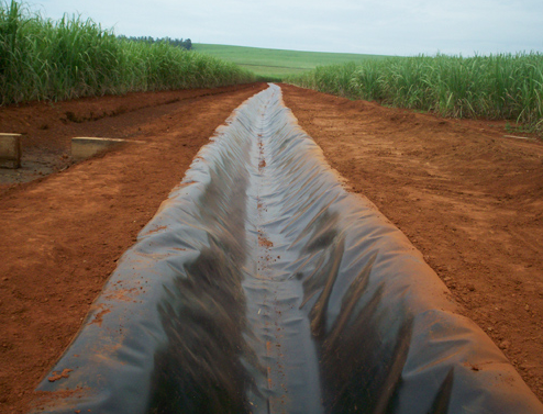 Corporativo e Sustentável: Canal e Lagoas de Vinhaça - Geomembrana
