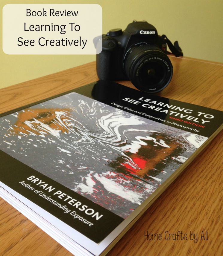Book Review: Learning to See Creatively - Home Crafts by Ali