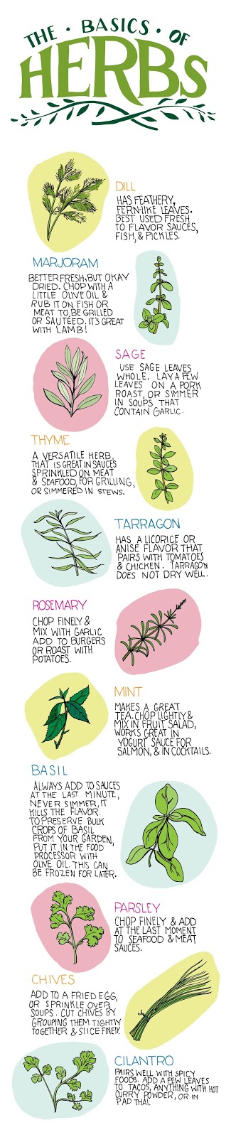 Infographic Facts & Figures: Top 10 Antiviral Herbs - Infographics