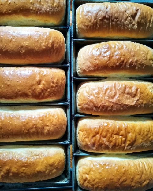 Jalan-jalan ke Cianjur, ke Museum dan Lihat Pabrik Roti Legendaris ...