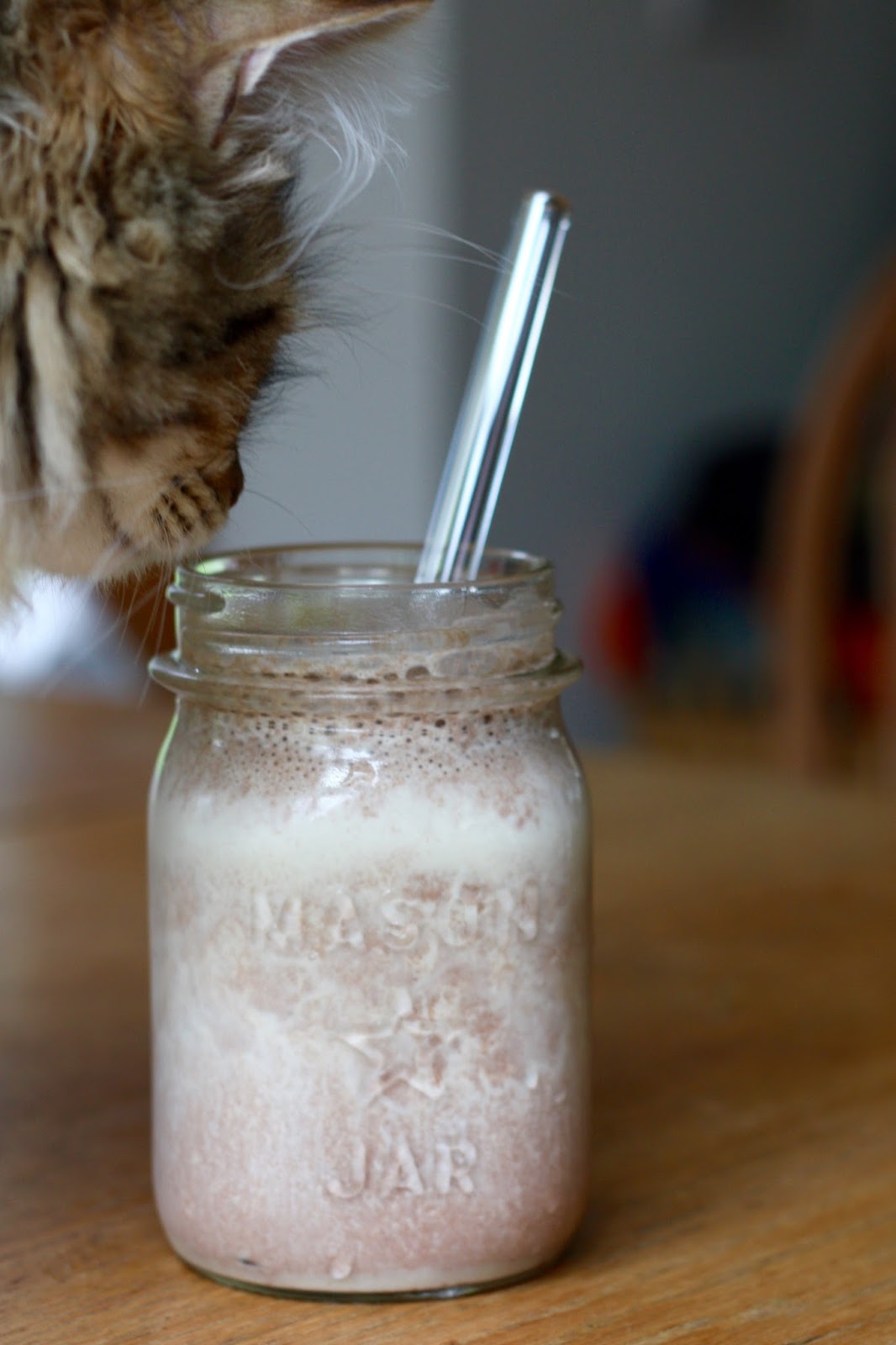 ben and birdy: Healthy Chocolate-Mint Milkshake (and a give-away!)
