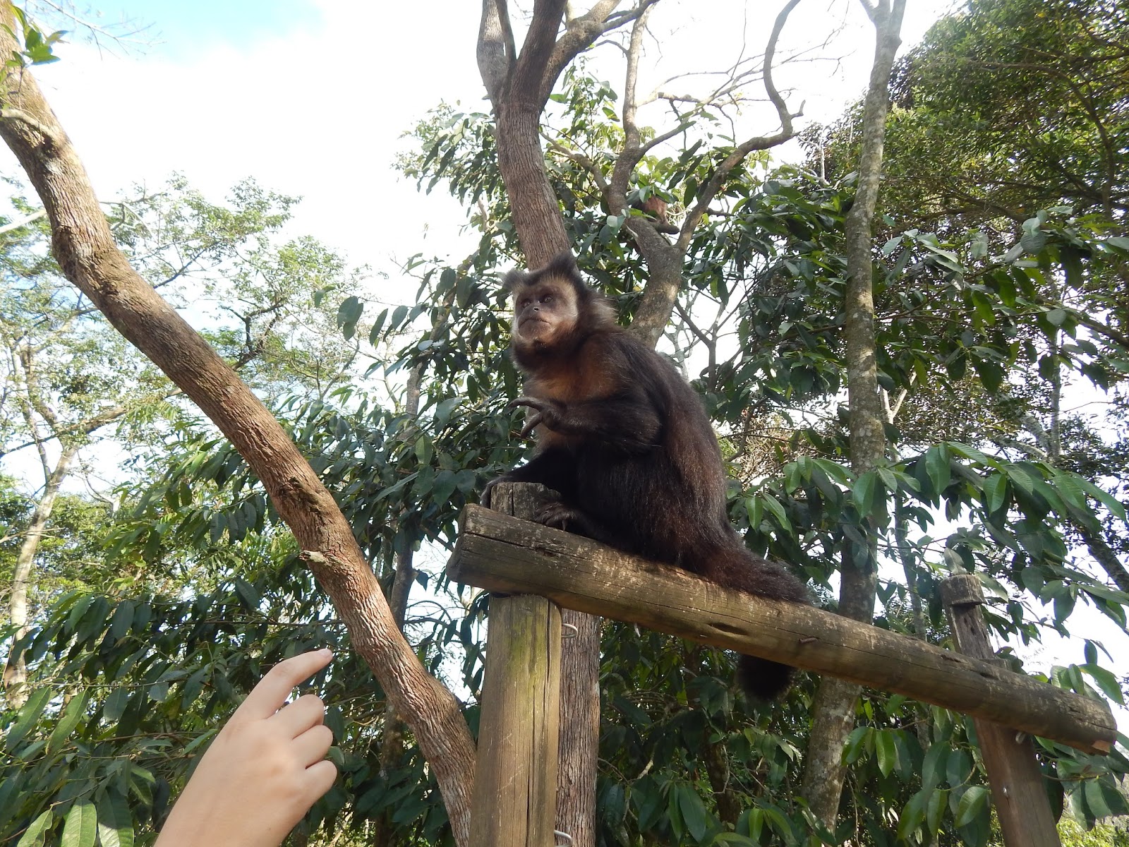 2 Turistas: Parque Ecológico de Maracajá - SC