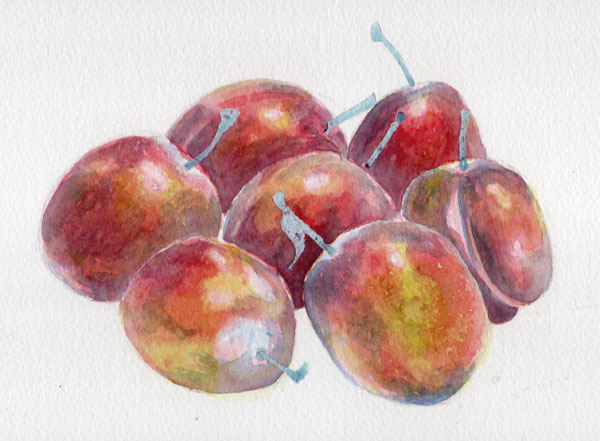 Stoneflower: Seven Plums - watercolour demonstration