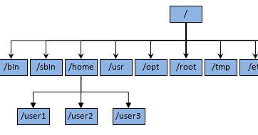 16 Direktori Linux dan Fungsinya