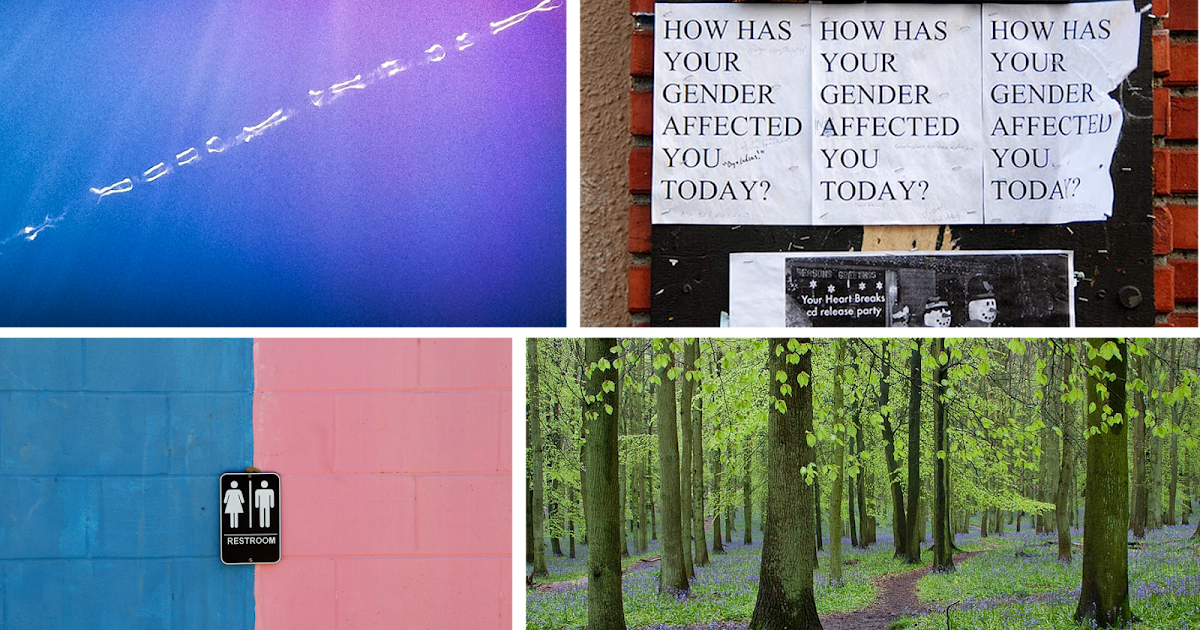 Modern Mormon Men: Gender Incongruence and the LDS Church: Frontier of ...