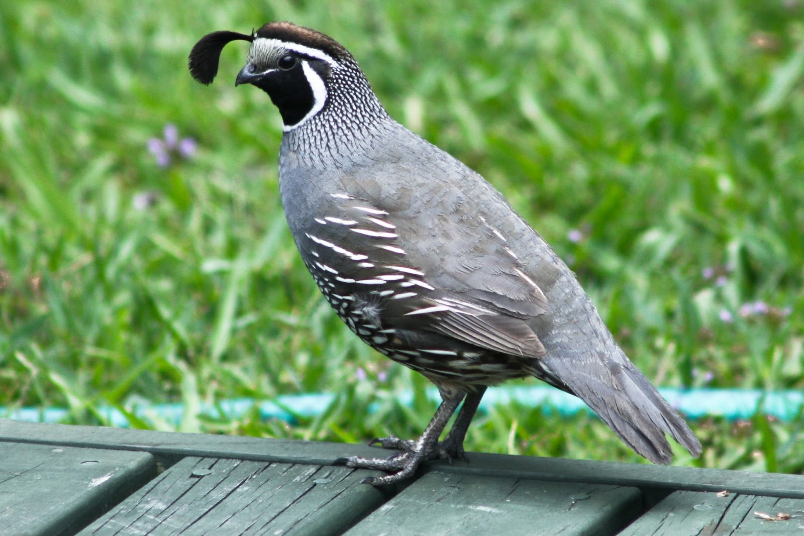 Class Blog Indian Epics