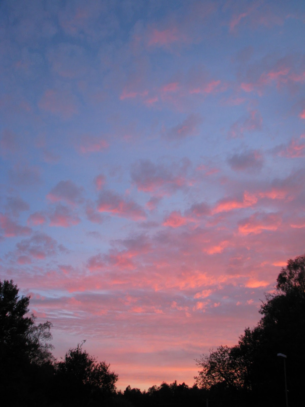 Winters Moon: Pretty skies