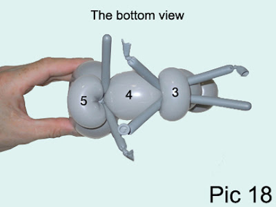 CLASSICAL: How to make balloon ant