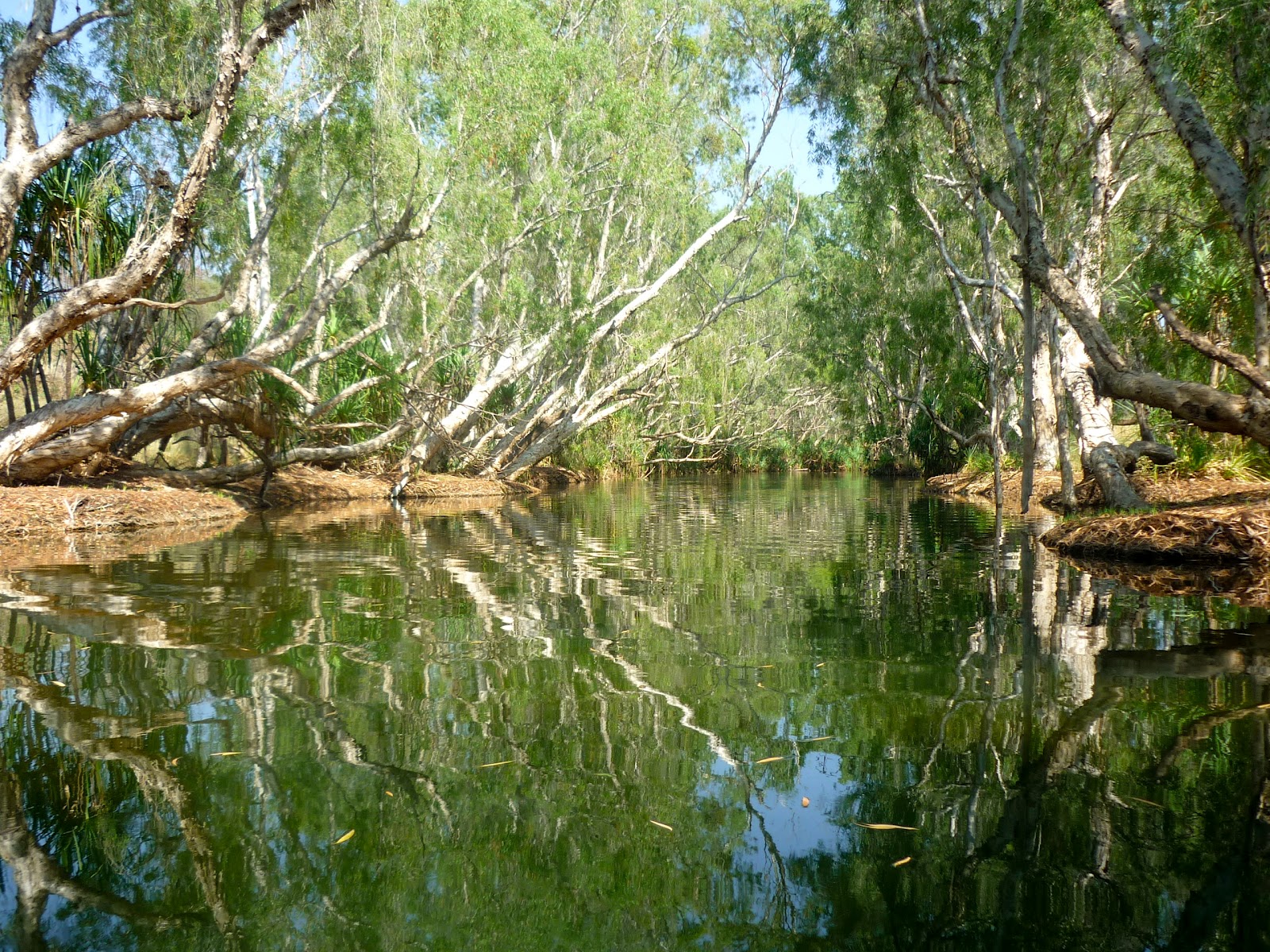 Life @ Robinson River: Natural Beauty