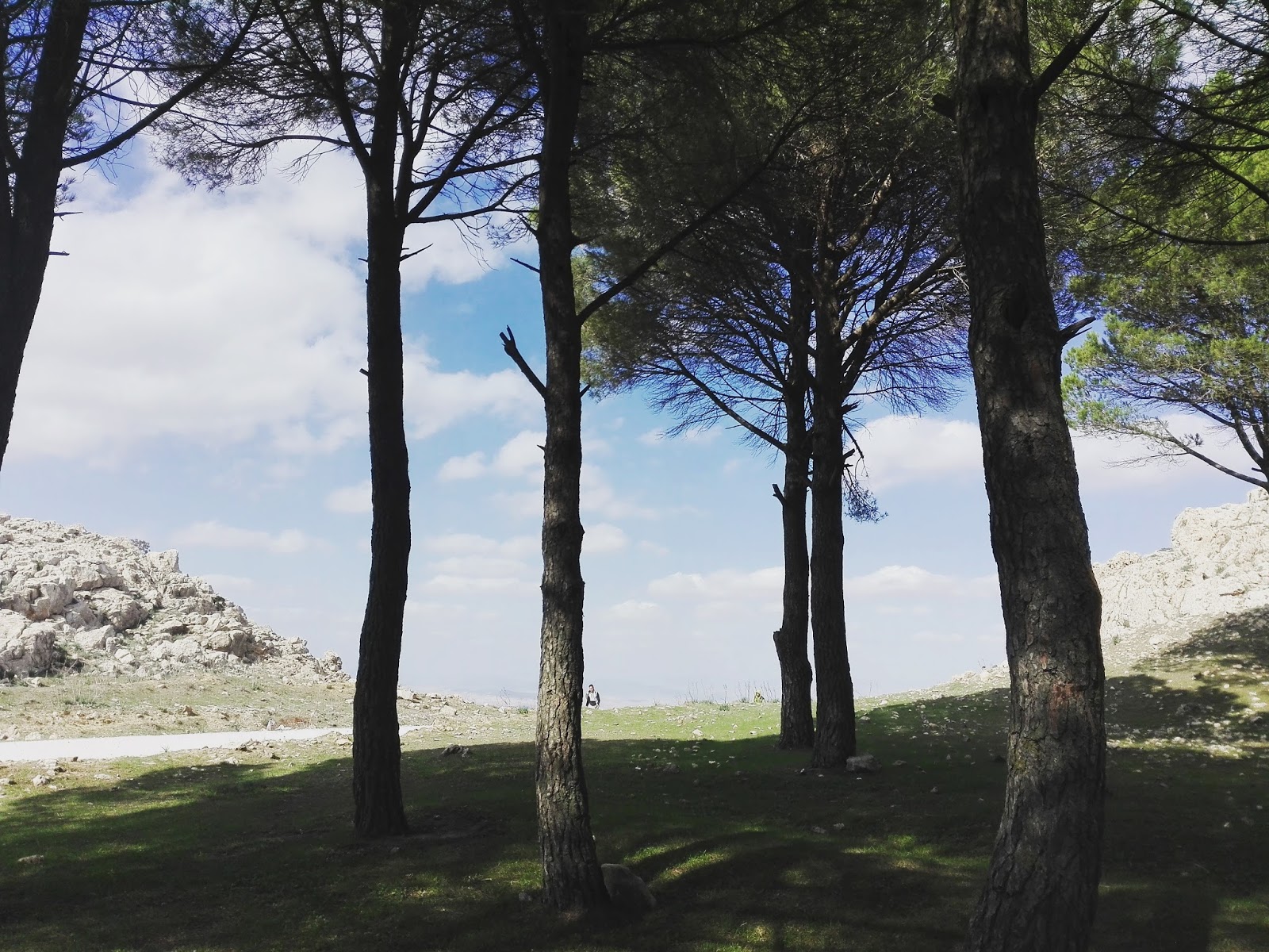 19e Randonnée : Kef Ghrab - Kef (+15Km)