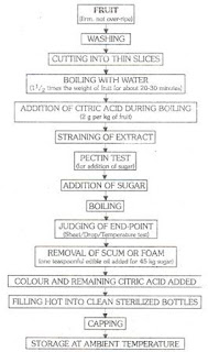 Preparation of Jelly - notesfreedownload